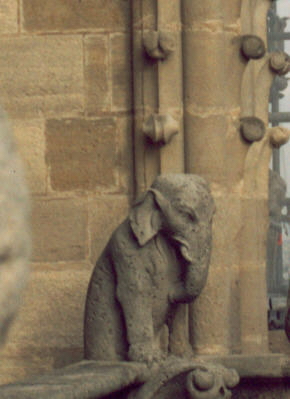 Photograph: Elephant Gargoyle at Notre Dame - The Faithful Word.org